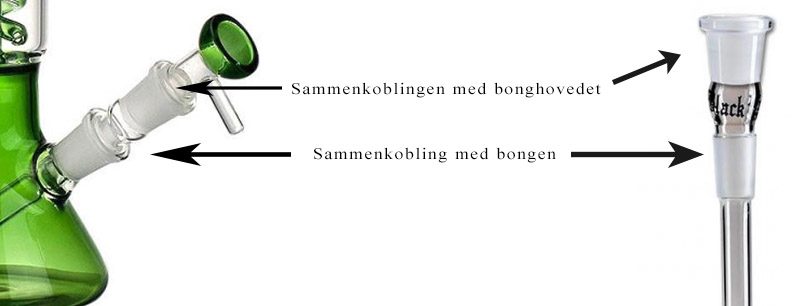Hvad er Sure Ground (SG)? → Find ud af det lige her