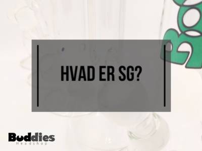 Hvad er Sure Ground (SG)? → Find ud af det lige her